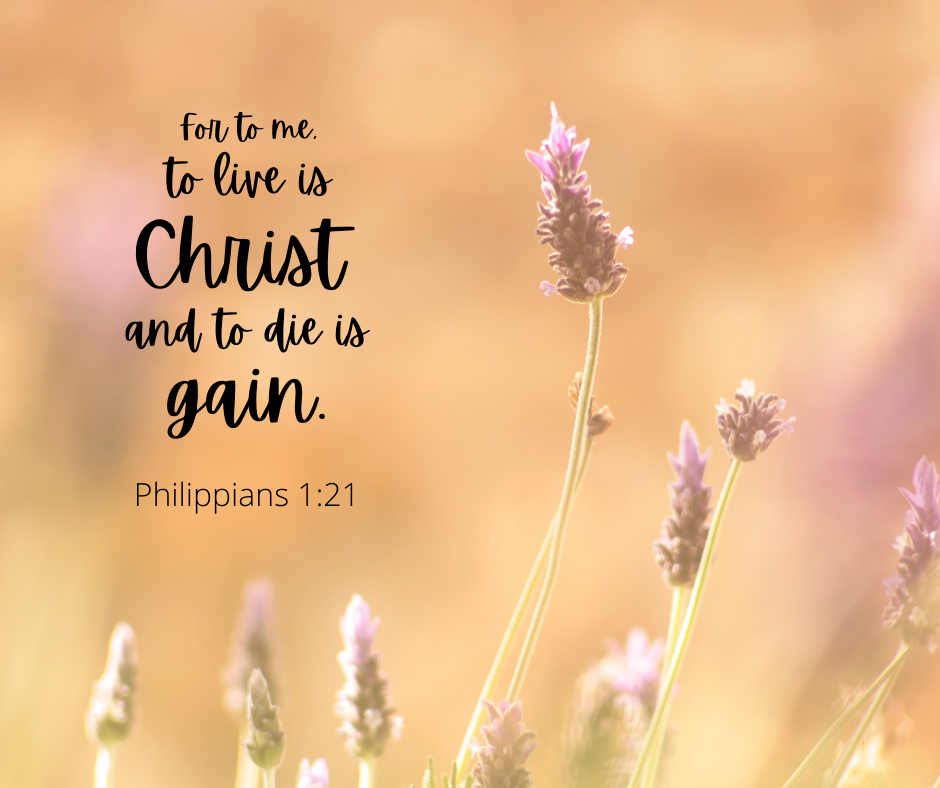 What it means to be in Christ. - Lakeside Presbyterian Church - Ajijic ...